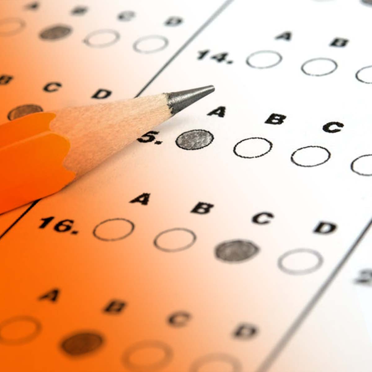 Test Series - Omkar Career Academy